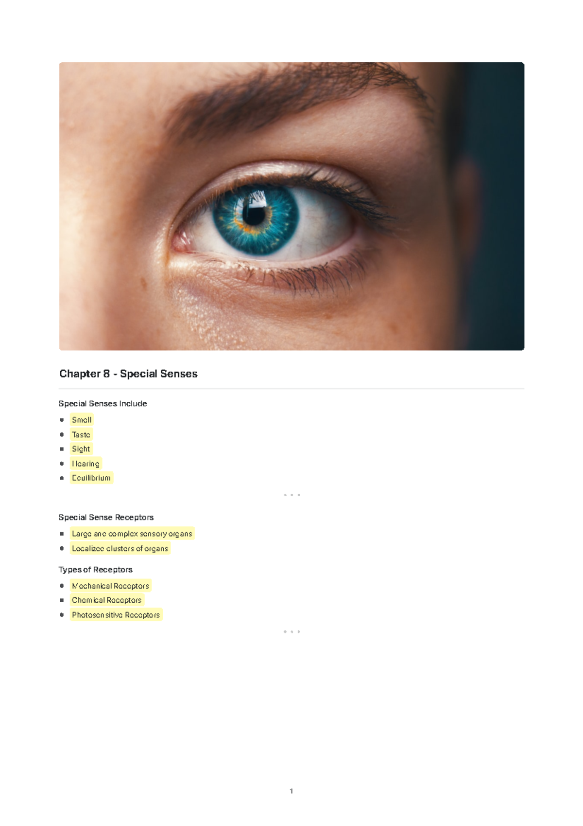 Chapter 8 - Special Senses - Chapter 8 - Special Senses Special Senses ...