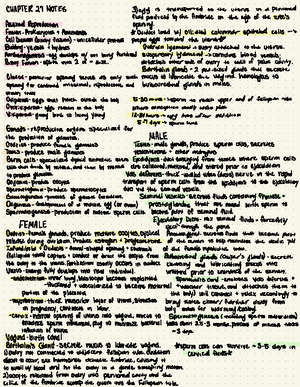 24-2 lecture+notes 2 - This is notes on Parametric equations - Math ...