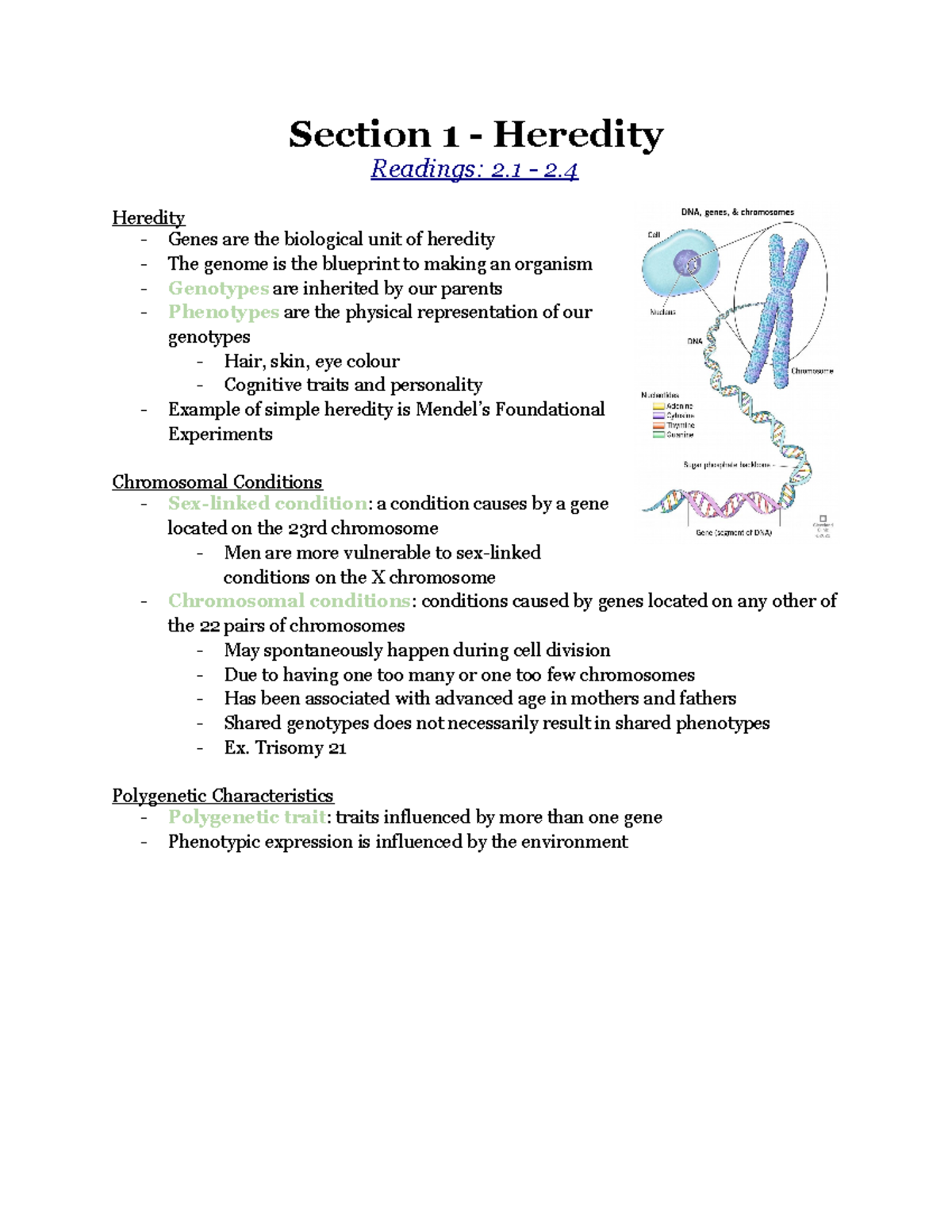 Lesson 2 - Heredity, Prenatal Development, and Birth - Section 1 ...