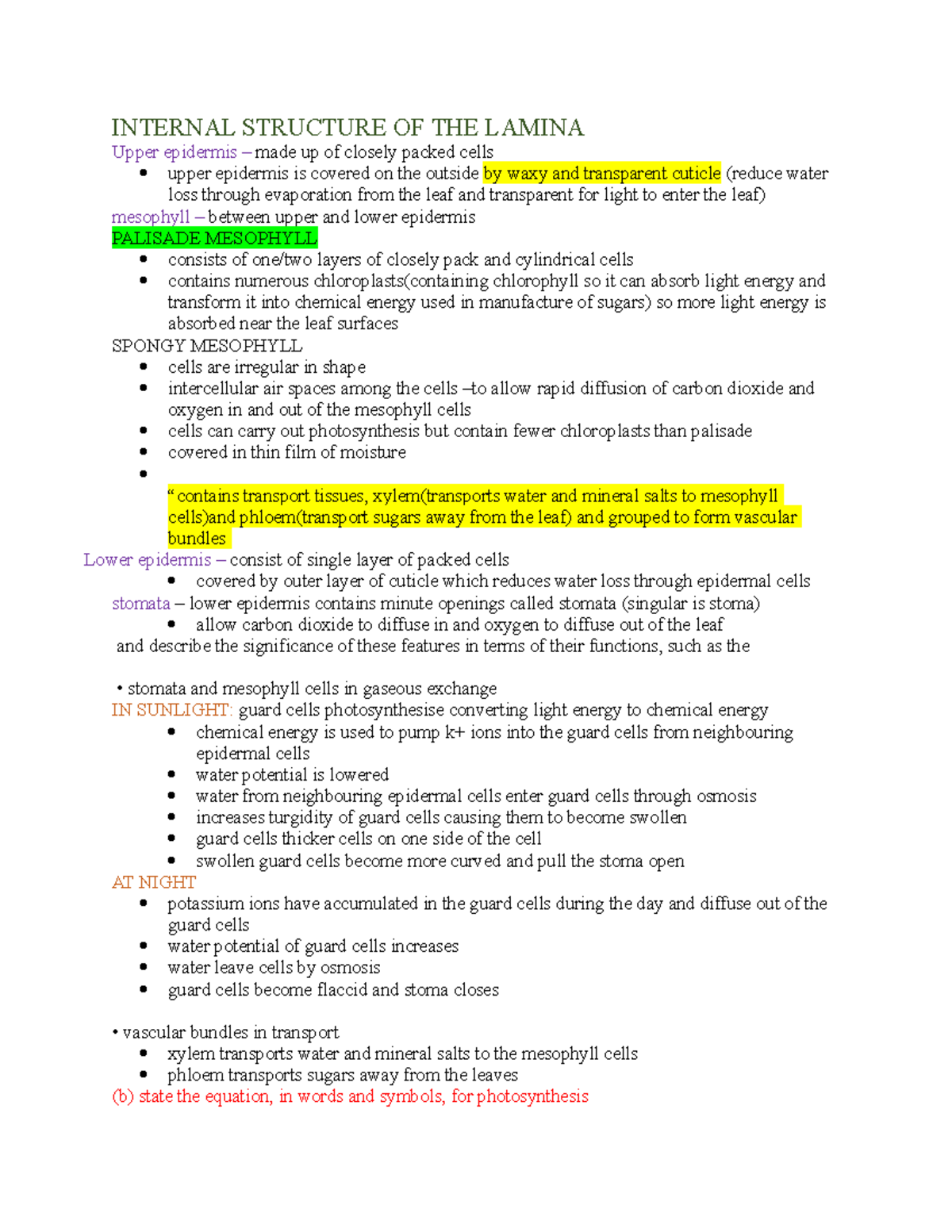 Internal Structure OF THE Lamina - INTERNAL STRUCTURE OF THE LAMINA ...
