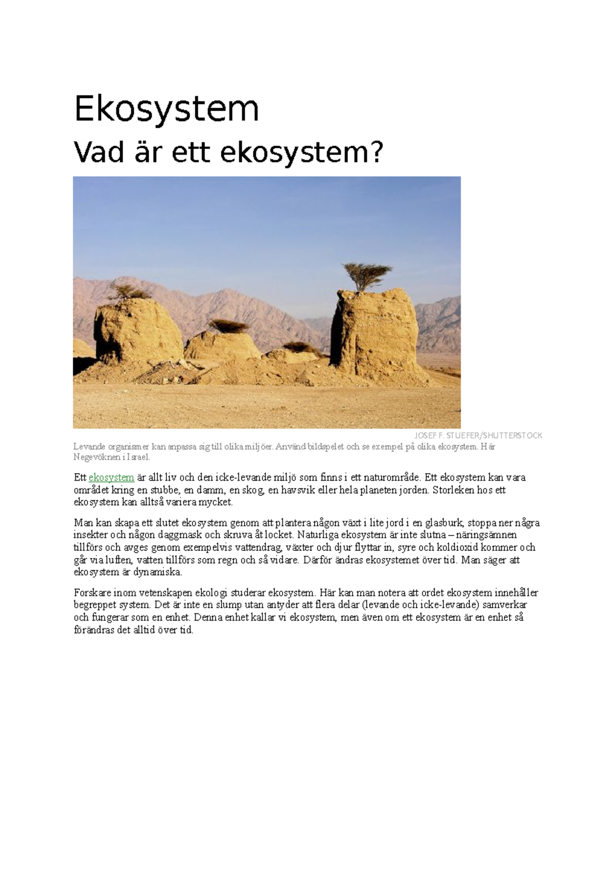 Ekosystem - Ekosystem Vad är ett ekosystem? JOSEF F. STUEFER ...
