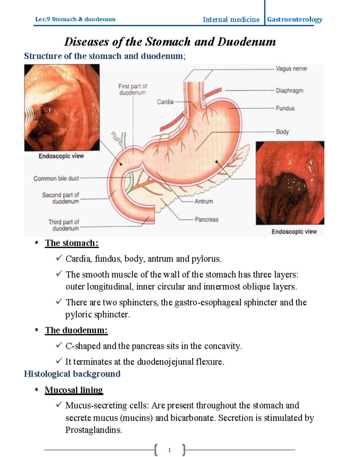 Fourth file of GIT - Diseases of the Stomach and Duodenum Structure of ...