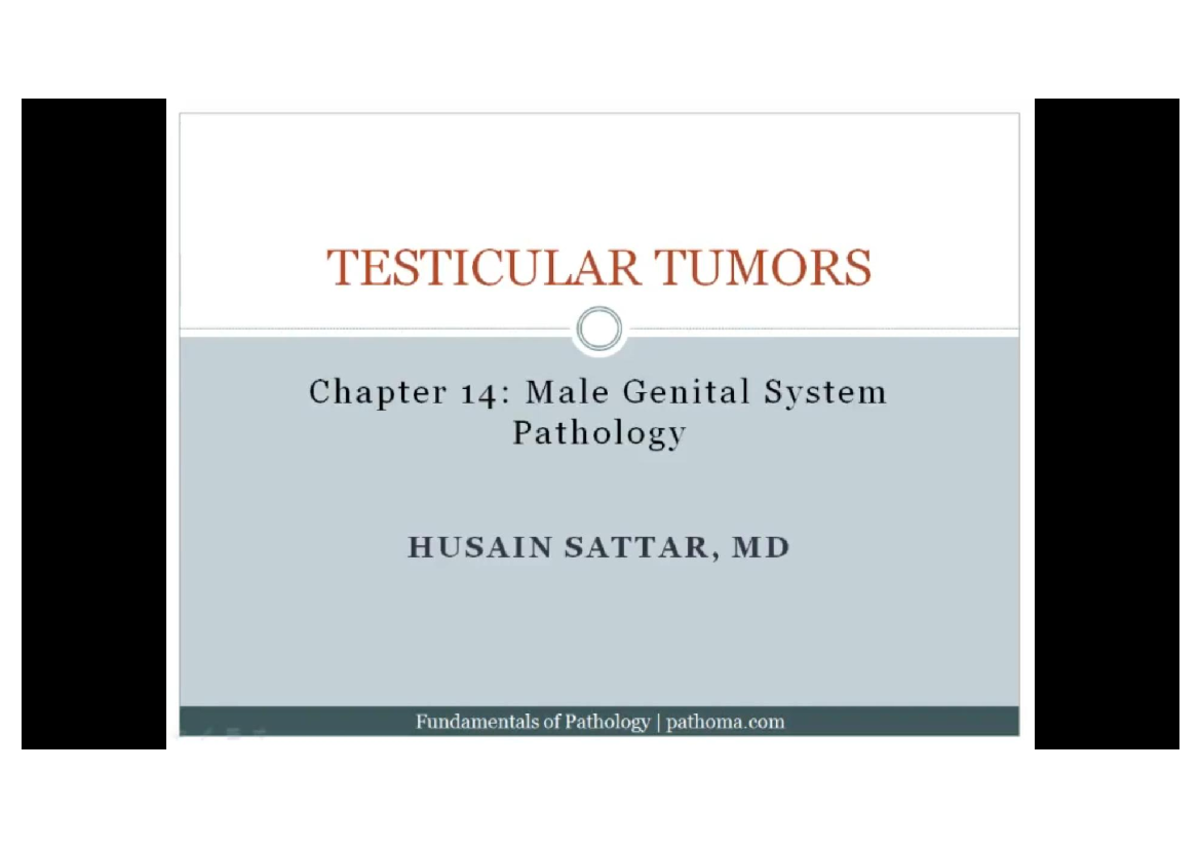 3) Testicle Tumor - Medicine - Studocu