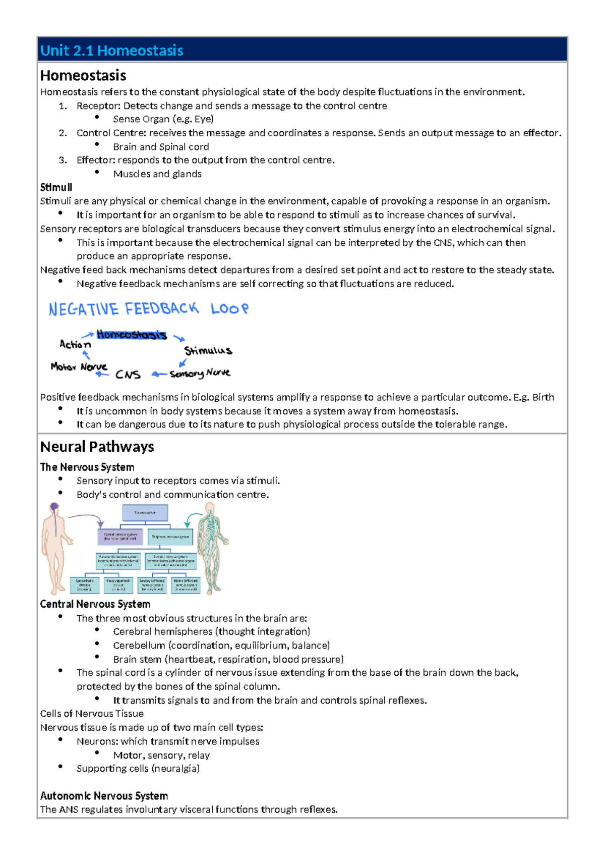 11 Biology Unit 2 - Entire unit 2 notes with learning intentions ...