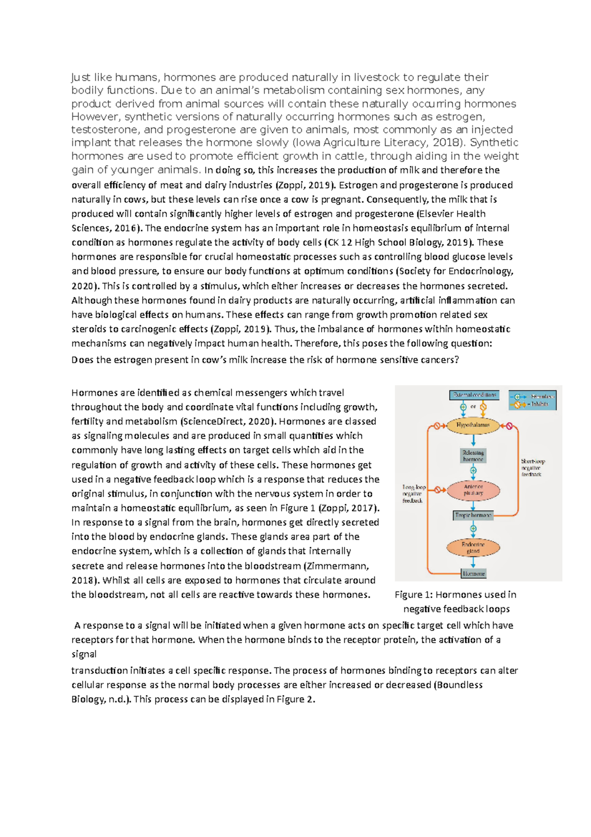 Biology IA3 Research Investigation - Just like humans, hormones are ...
