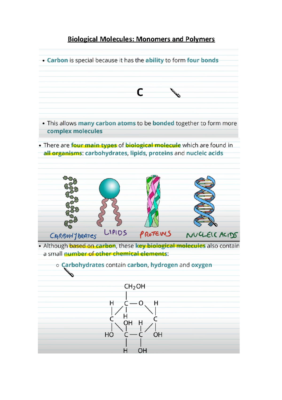 Biological Molecules - Monomers and Polymers - Studocu