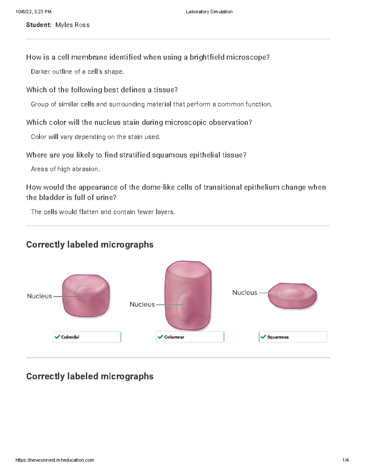 Ross.Epithelial Tissue Histology - Student: Myles Ross How is a cell ...