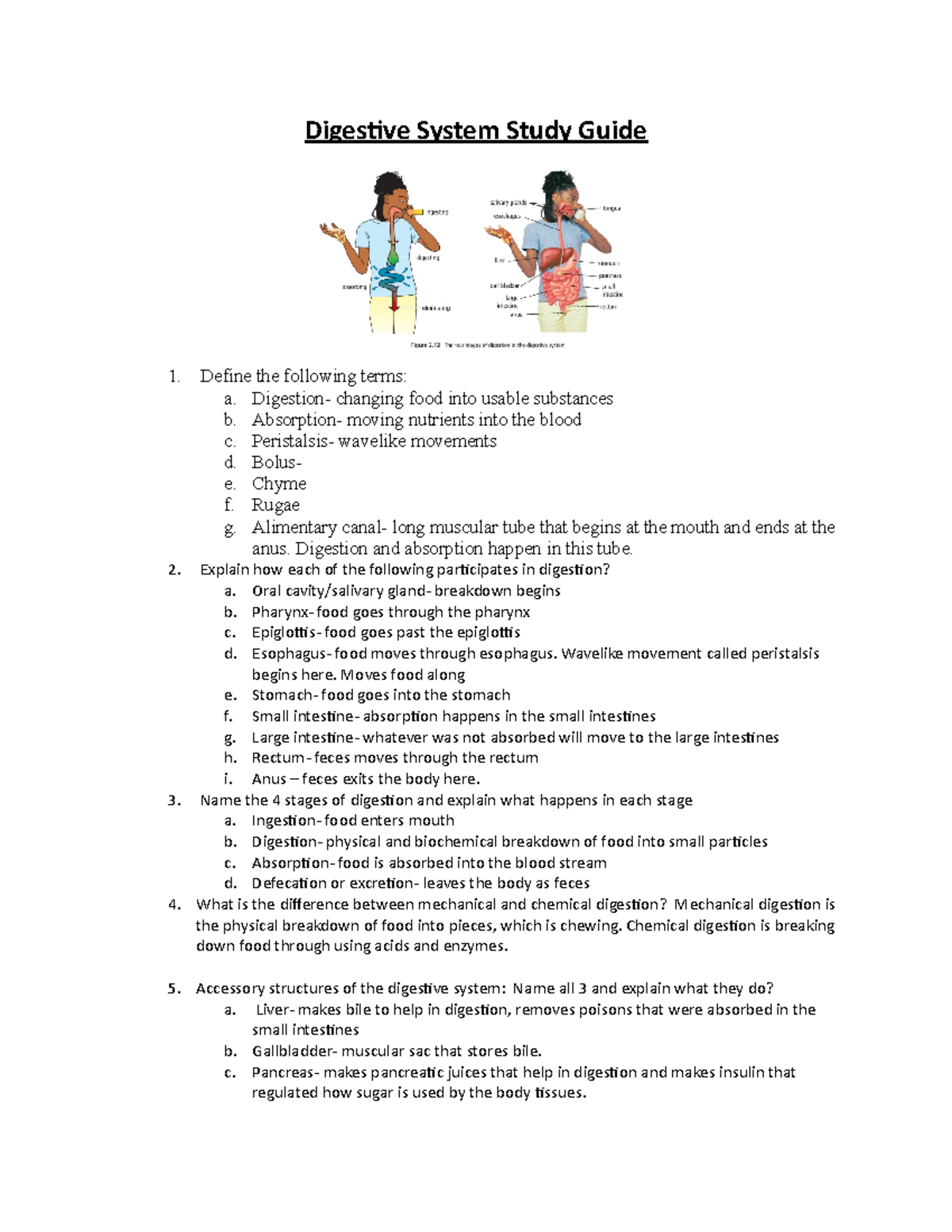 Digestive System Study Guide-1 - Define the following terms: a ...