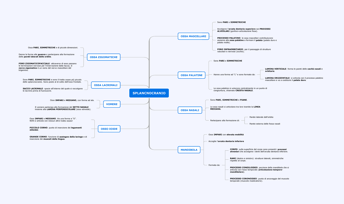 Splancnocranio - Riassunto anatomia e istologia - OSSA MASCELLARI Sono ...