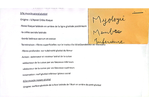 LAI - Exercise set #2 - Solution - Logic for AI - Exercise set #2 - Solution Combinatory Logic ...