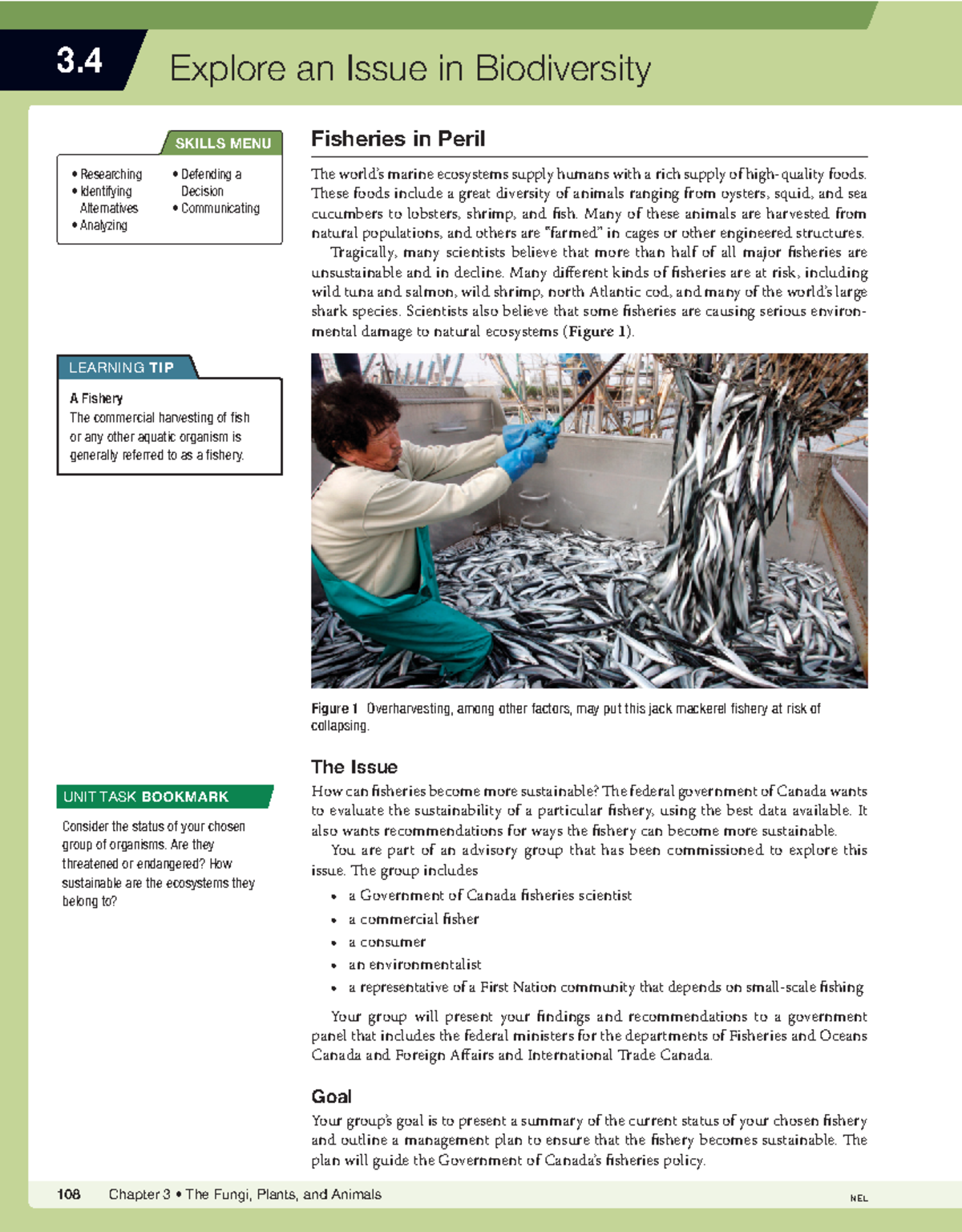 NB11U - Ch3 - The Fungi, Plants and Animals (pgs78-119) 0031-0031 ...