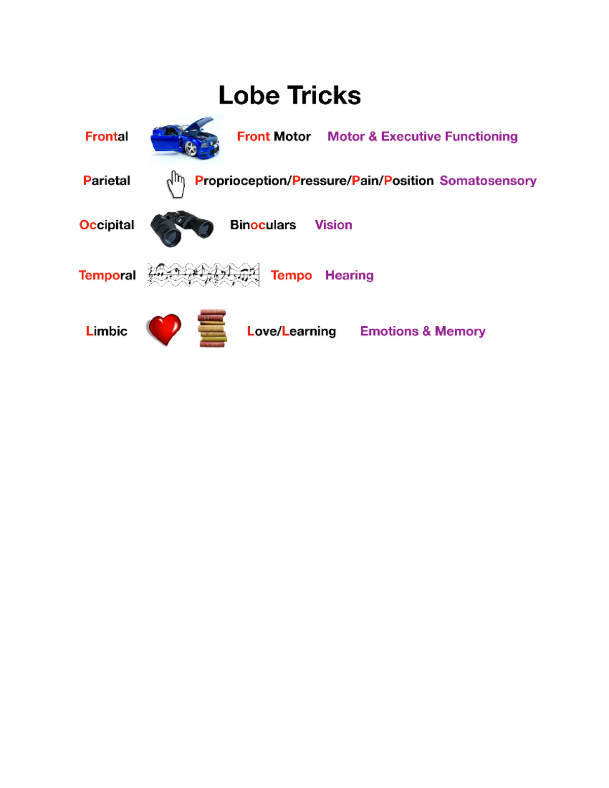 Lobe tricks - Cranial tips - NURS 3614 - Lobe Tricks Frontal Front ...