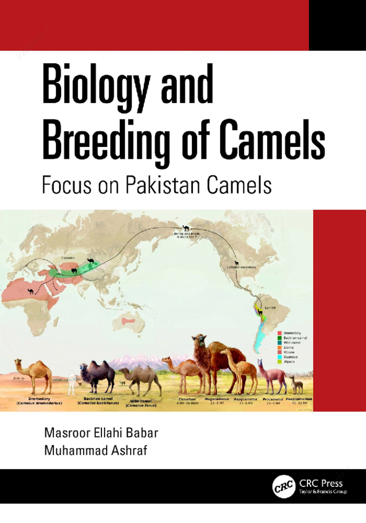 Biology and Breeding of Camels, Focus on Pakistan Camels (Vet Books ...