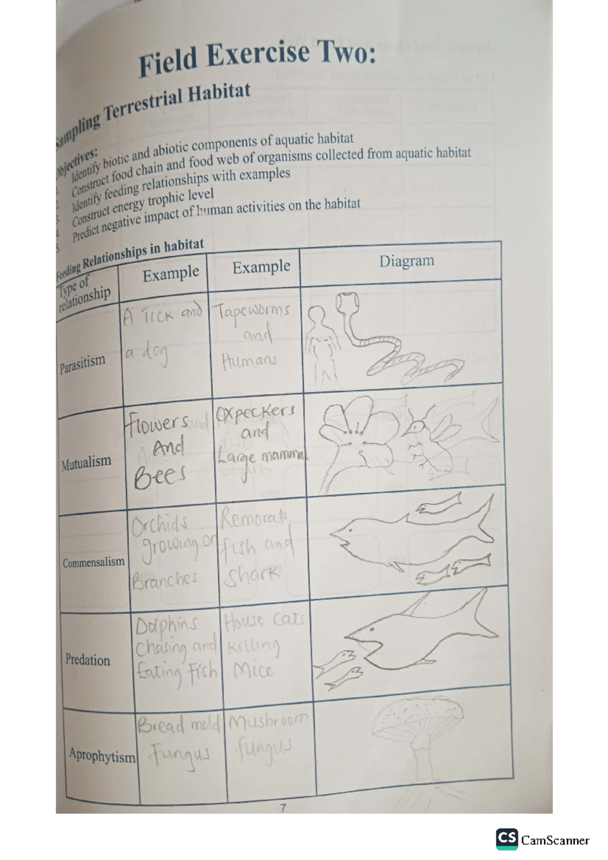 Bio 214 Pratical Manual Biology Studocu