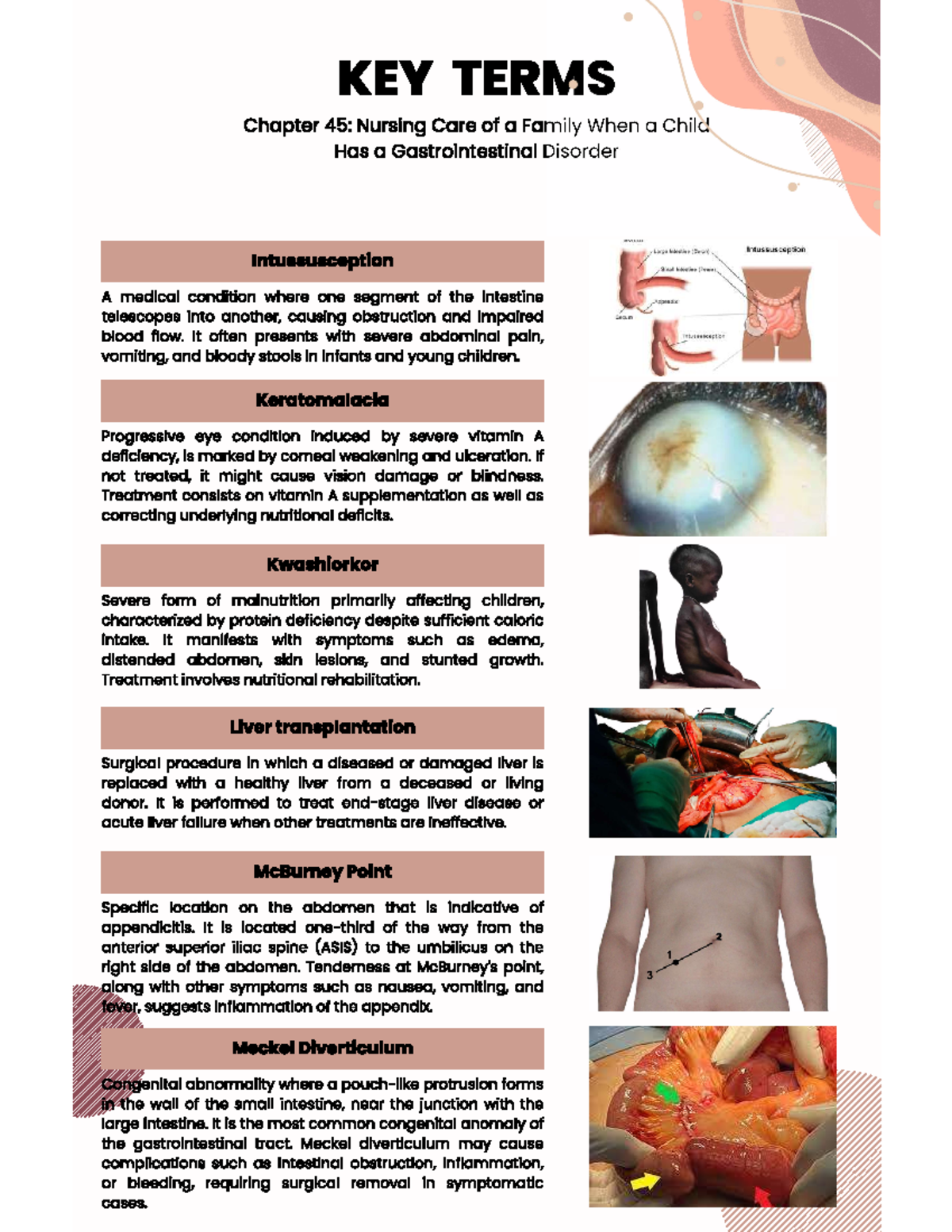 Key Term Chapter 45 - Maternal 2 Key Terms - Maternal and Child Health ...