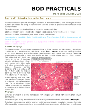 Bacterial Identification Flowchart - BOD - Studocu