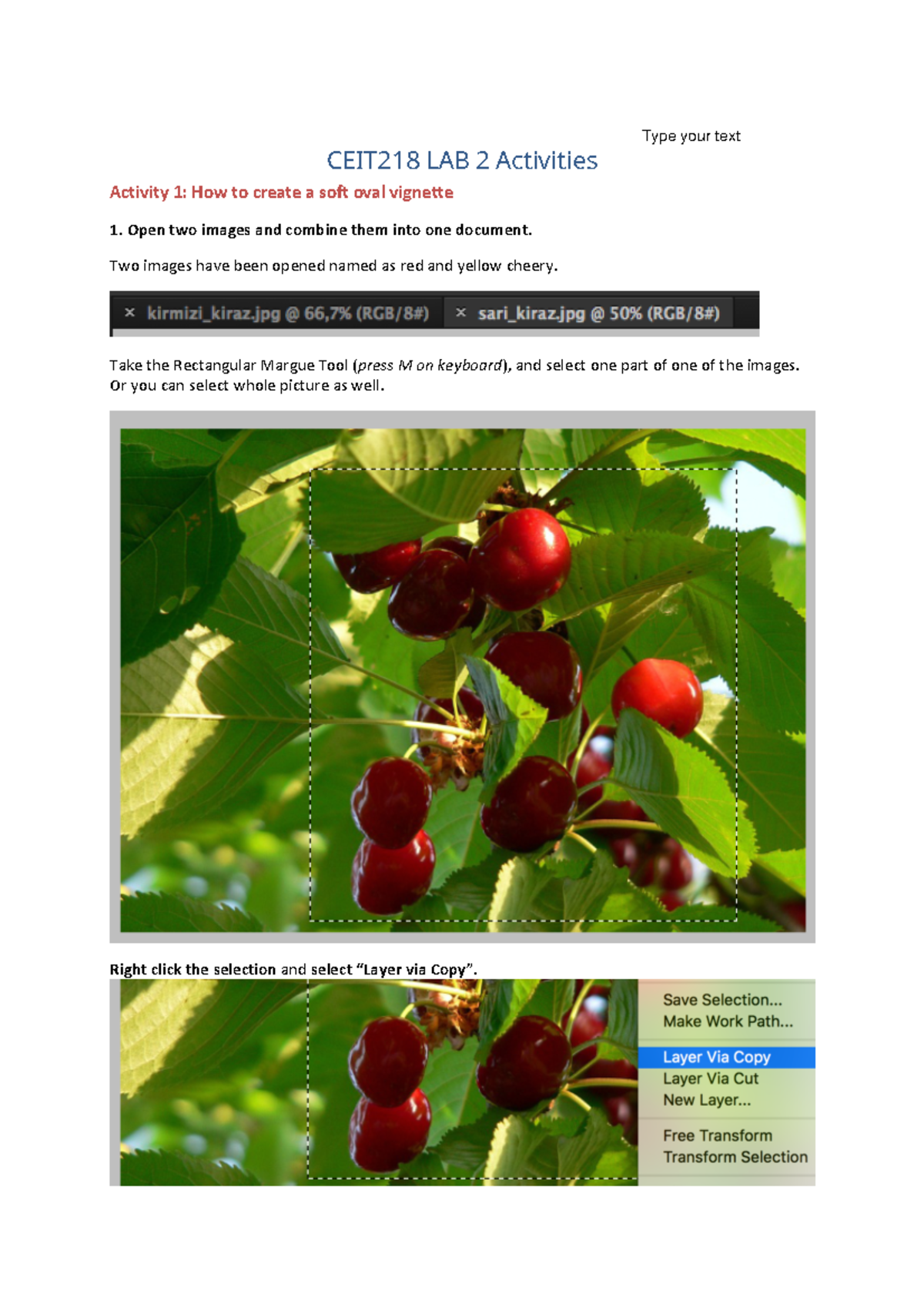 CEIT218 LAB2 Activities - Activity 1: How to create a soft oval ...