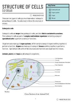 Cell Structure 22 - biol - Cell Structure 22 This document consists of ...