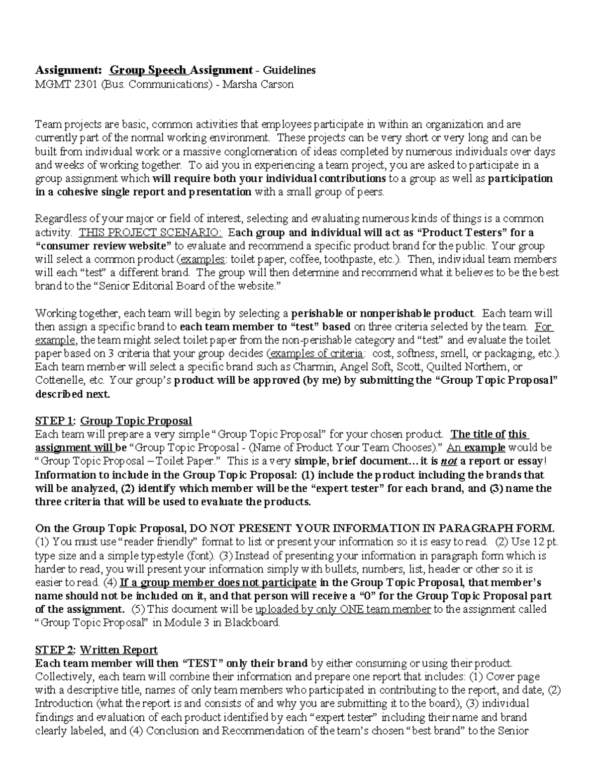 Group Speech Guidelines Spring 2024 - Assignment: Group Speech ...
