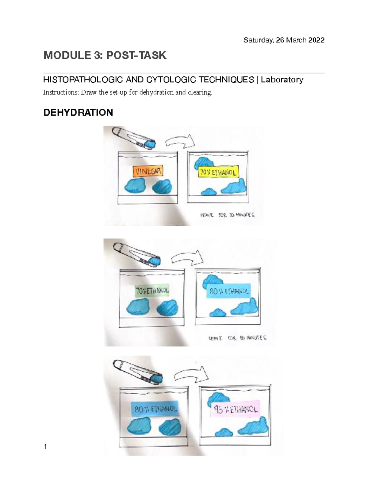 MOD3- Posttask - module 3 post task - MODULE 3: POST-TASK ...