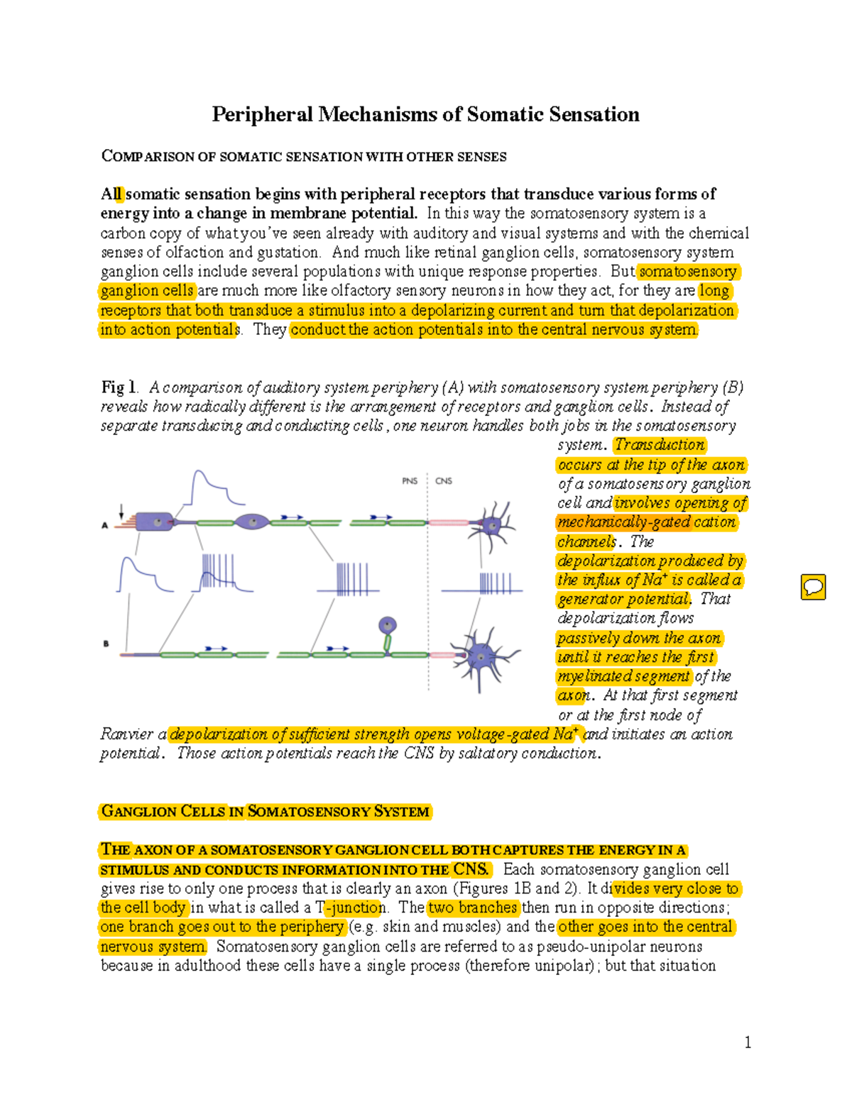Lecture 14 Somatosensory-1 - Warning: Popup annotation has a missing or invalid parent ...