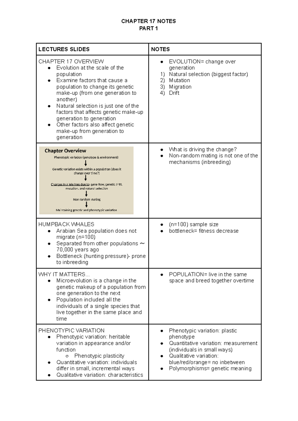 Chapter 17 Notes PT 1 - PART 1 LECTURES SLIDES NOTES CHAPTER 17 ...