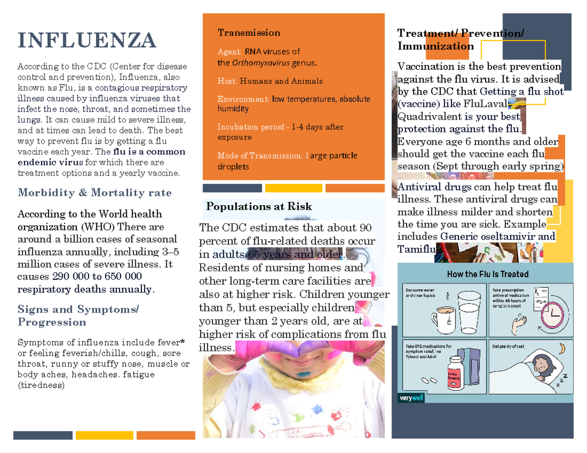 Influenza Virus - In class assignment - INFLUENZA According to the CDC ...
