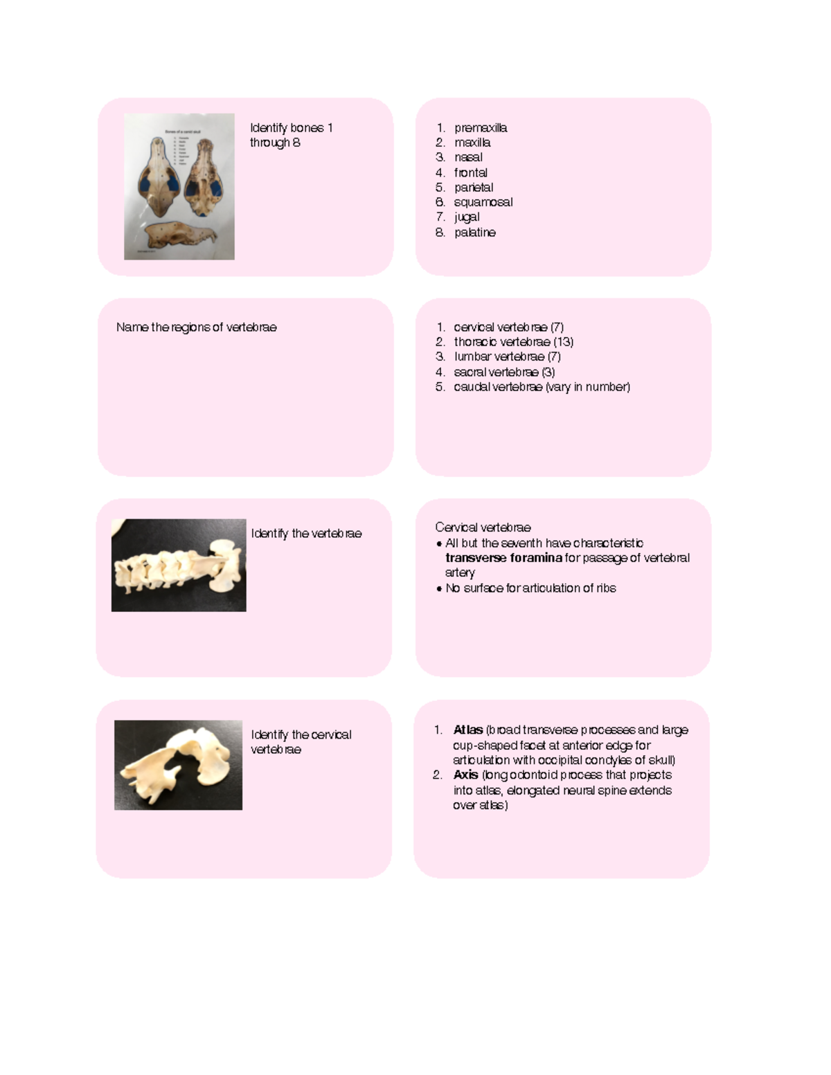 ZOO 2090 LAB - Vertebrate Structure and Function Laboratory study guide. Dr. Fu - Identify bones ...