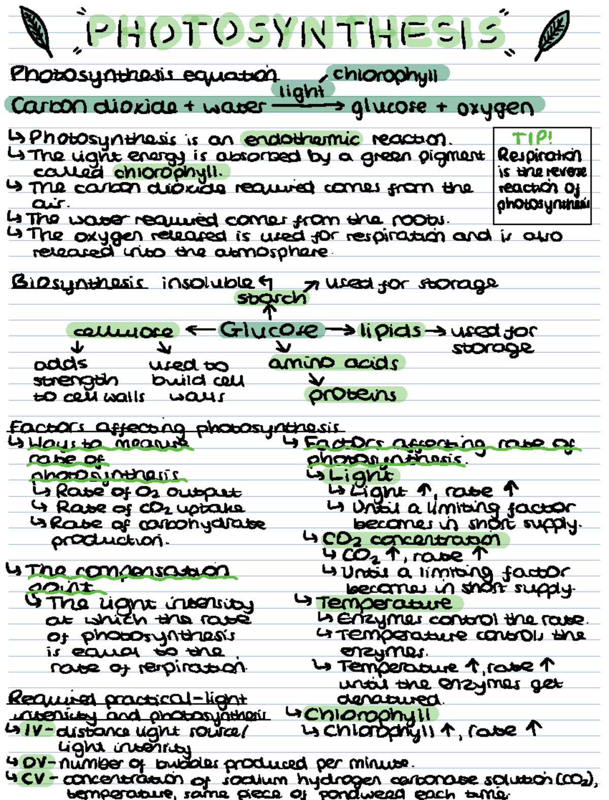 Photosynthesis poster - I I int o it NT h't it s EE Photosynthesis ...