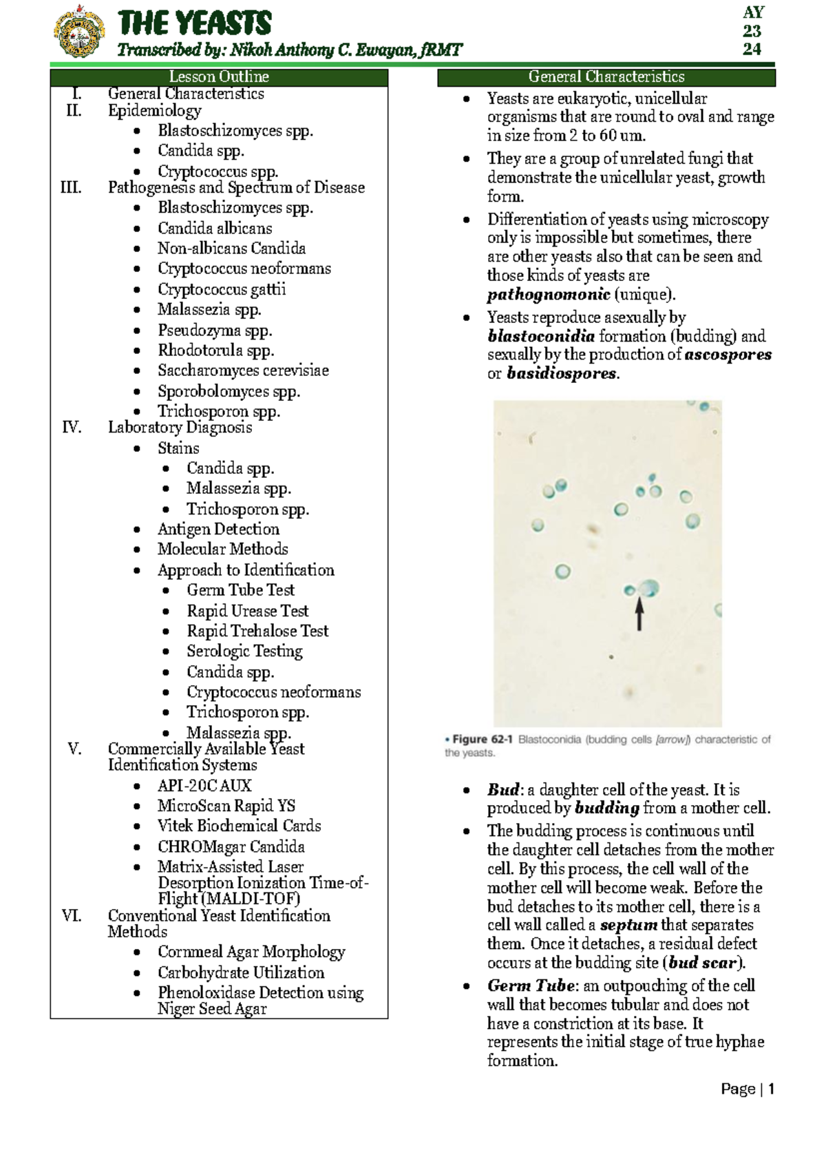 The Yeasts - THE YEASTS Transcribed by: Nikoh Anthony C. Ewayan, fRMT ...