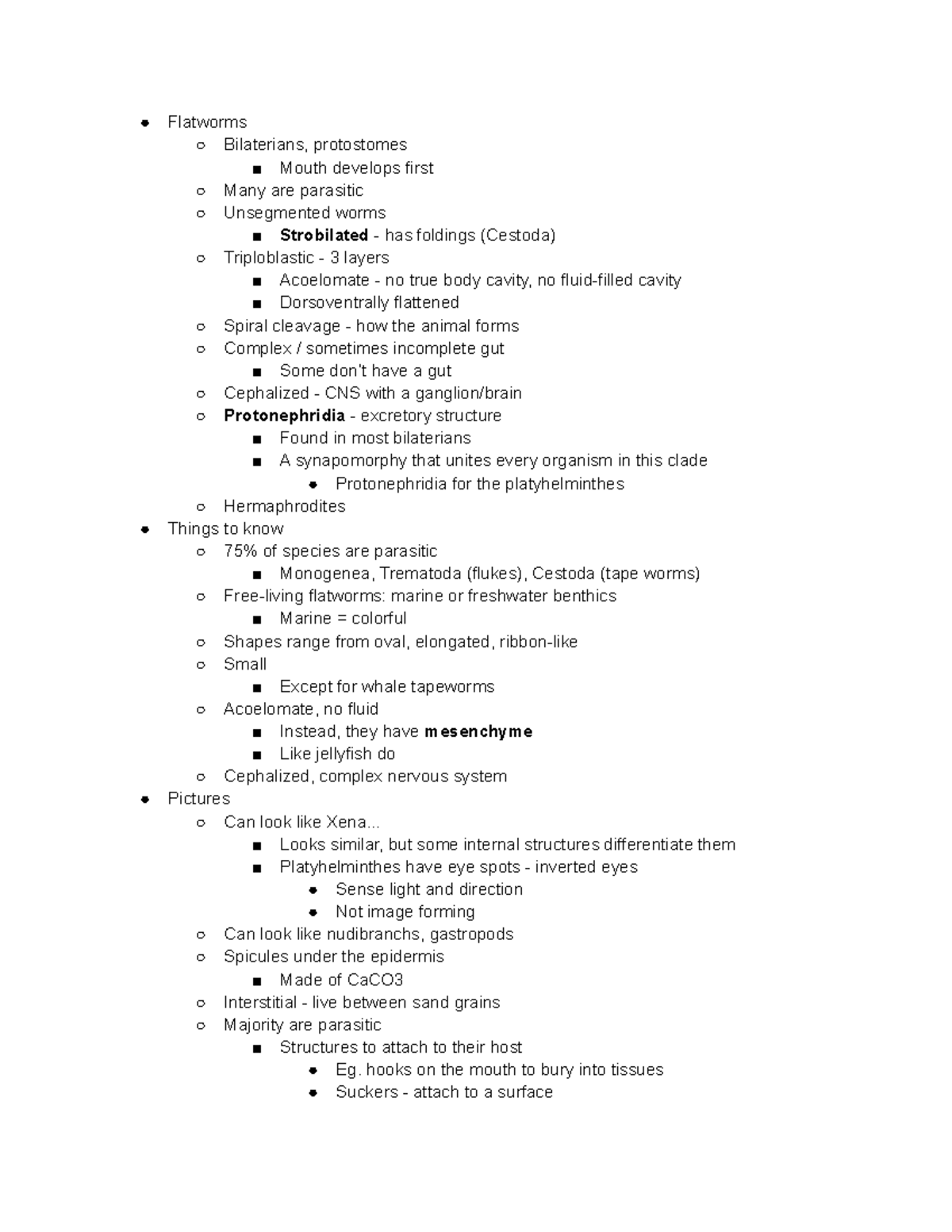 3 12 Lecture Phylum Platyhelminthes - Flatworms Bilaterians ...