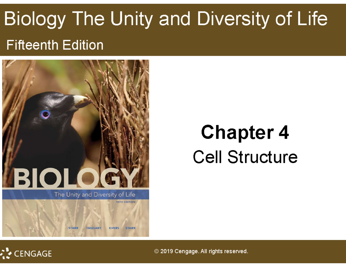 BE101P - Cells - PPT - Biology The Unity and Diversity of Life ...
