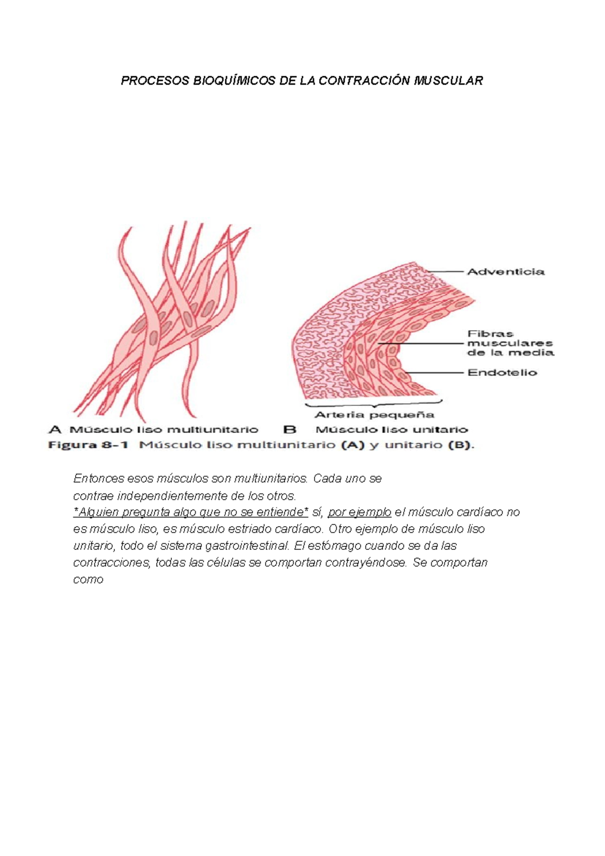 Procesos bioquimicos musculares - PROCESOS BIOQUÍMICOS DE LA ...