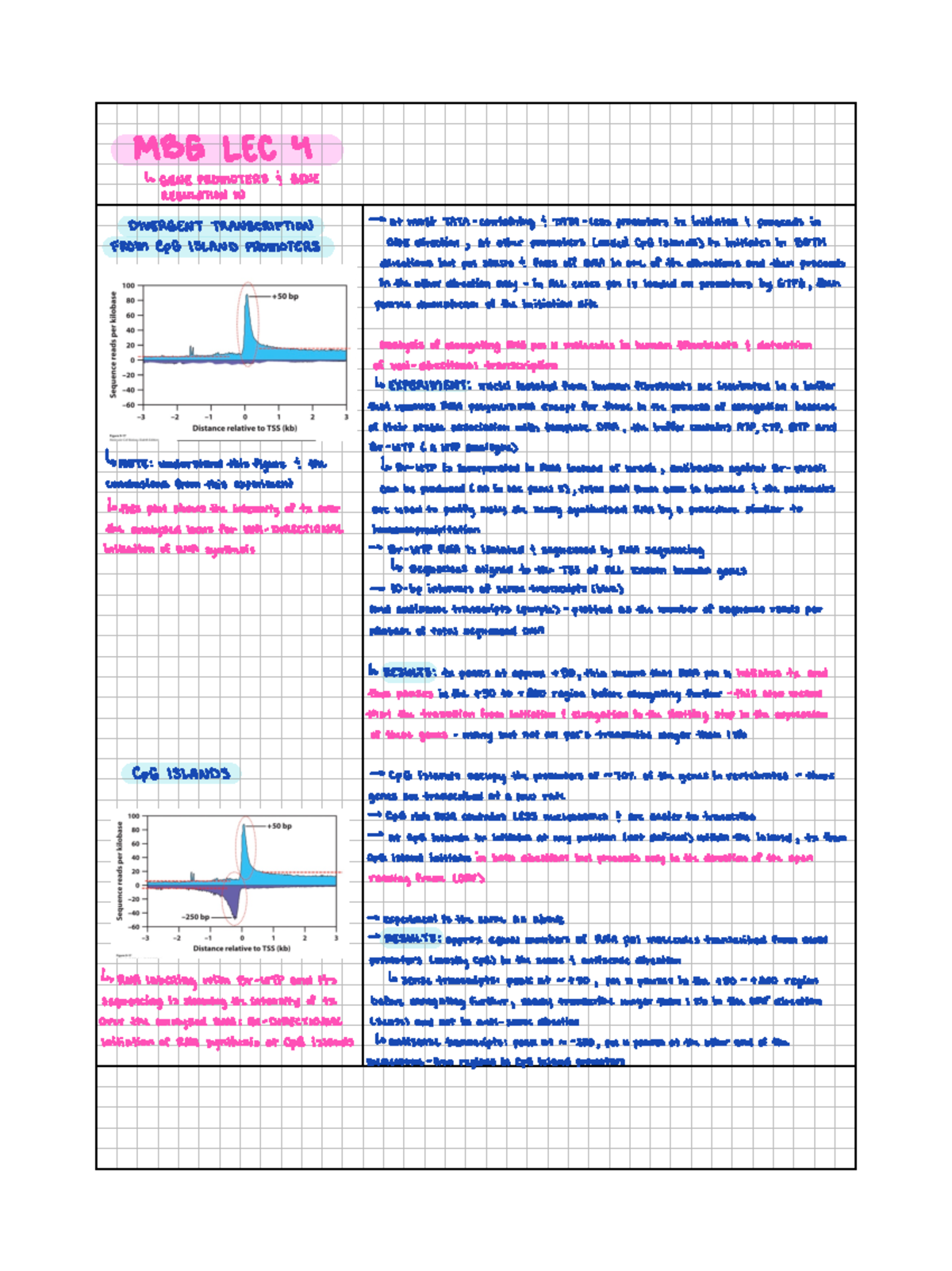 MCB LECTURE NOTES LEC 4 - MBG LEC 4 GEE 81 ERS GENE ...