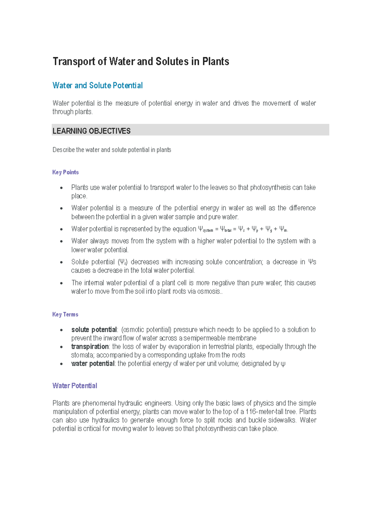Transport of Water and Solutes in Plants - LEARNING OBJECTIVES Describe ...