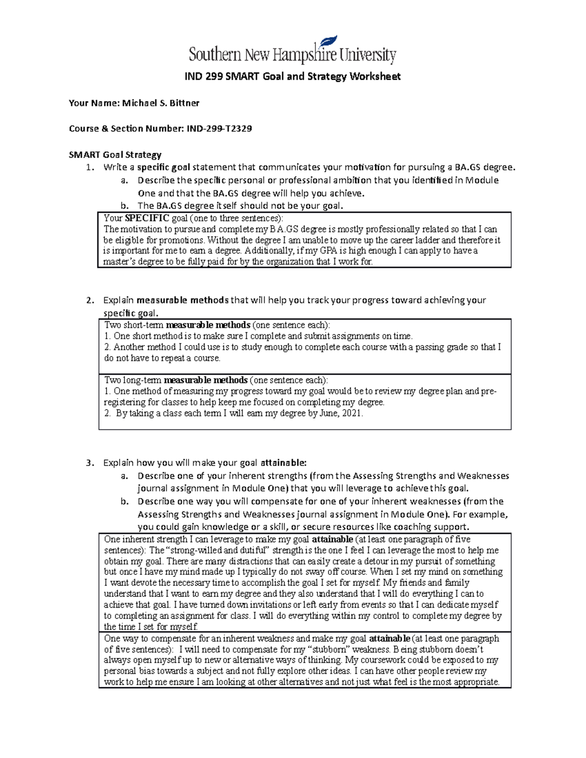 IND 299 Smart Goal and Strategy Worksheet - IND 299 SMART Goal and ...
