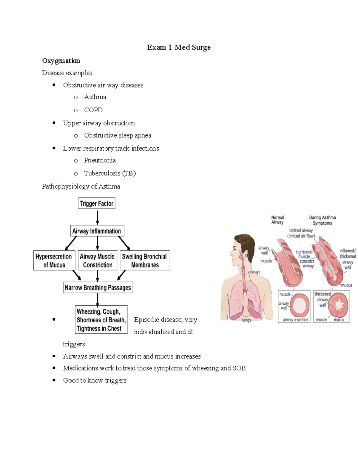 Exam 1 Med Surge - oxygenation notes - Exam 1 Med Surge Oxygenation ...