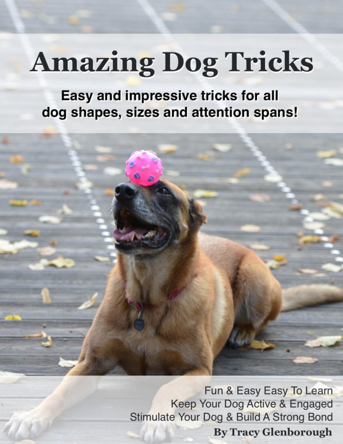Amazing-Dog-Tricks - dog tricks - All contents copyright 2020 ...