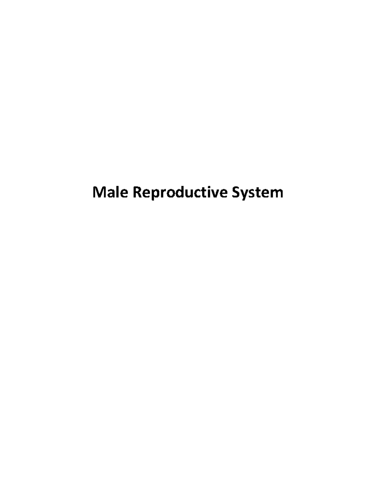 28Male RPSystem - Anatomy of the male reproductive system on the book ...