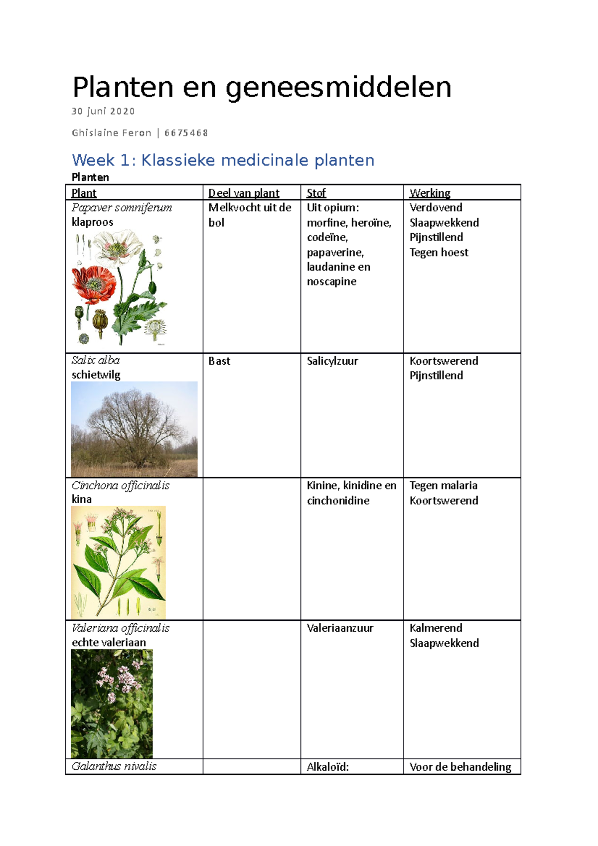 Planten en geneesmiddelen - Gedroogde planten en daarvan afgeleide: o ...