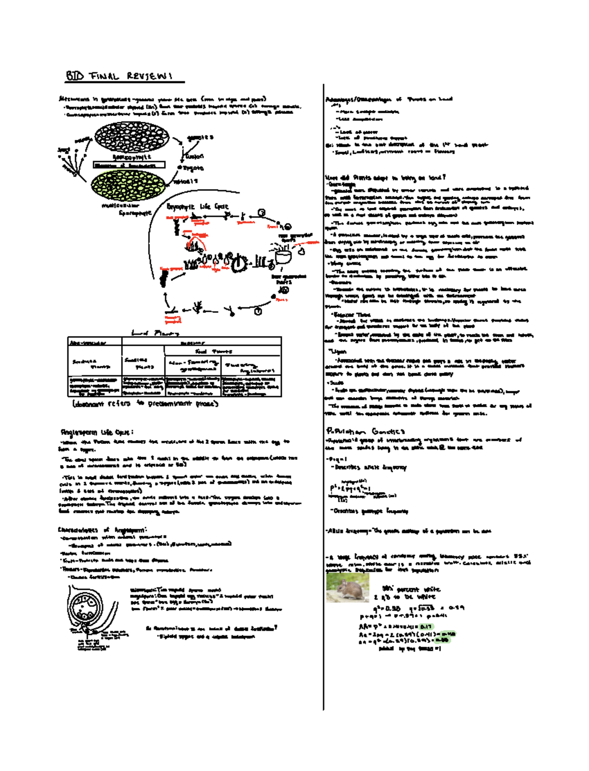 Bio 110 Final Review - BIOFINAL REVIEW ...