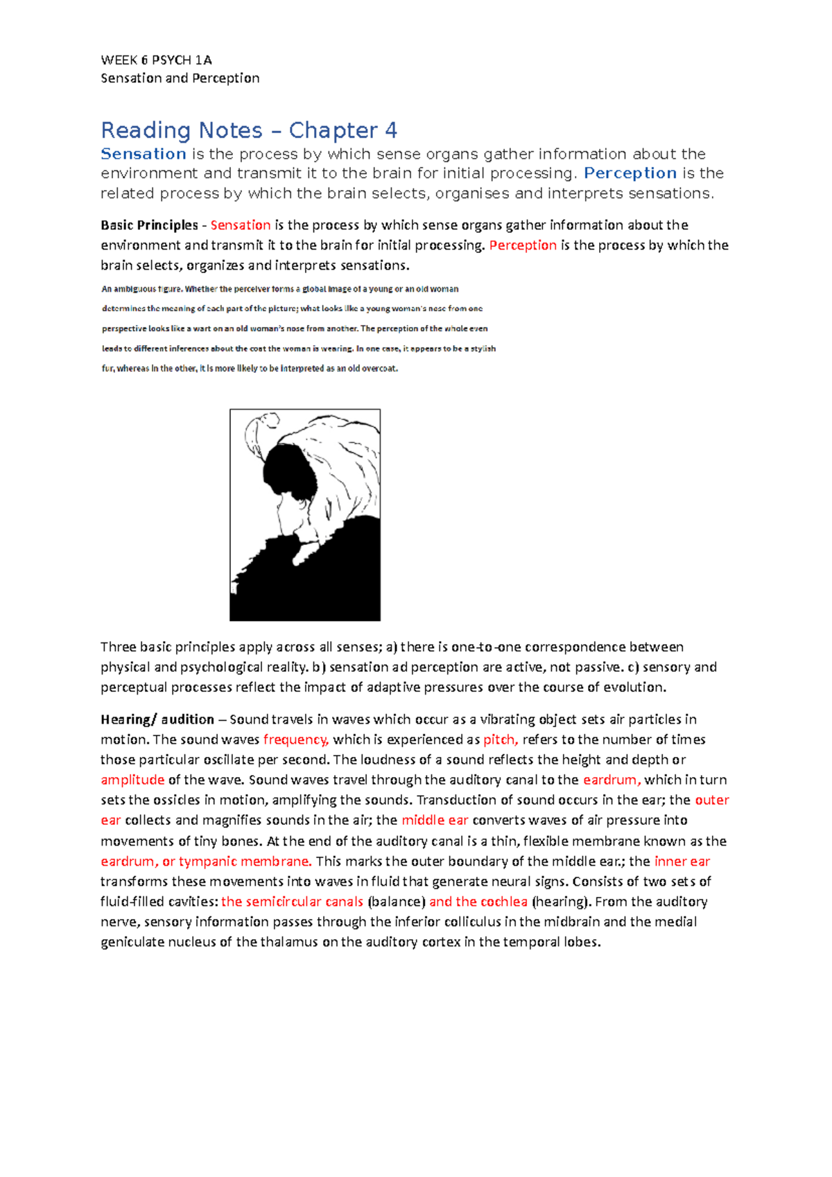 WEEK 6 - Sensation and Perception - Sensation and Perception Reading ...