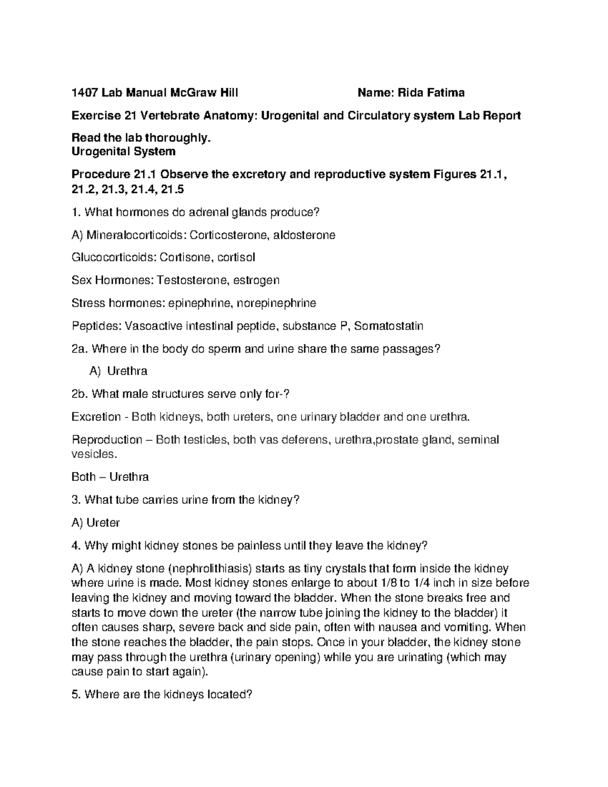 Lab 21 Vertebrate Anatomy Urogenital-Excretory system and reproductive ...
