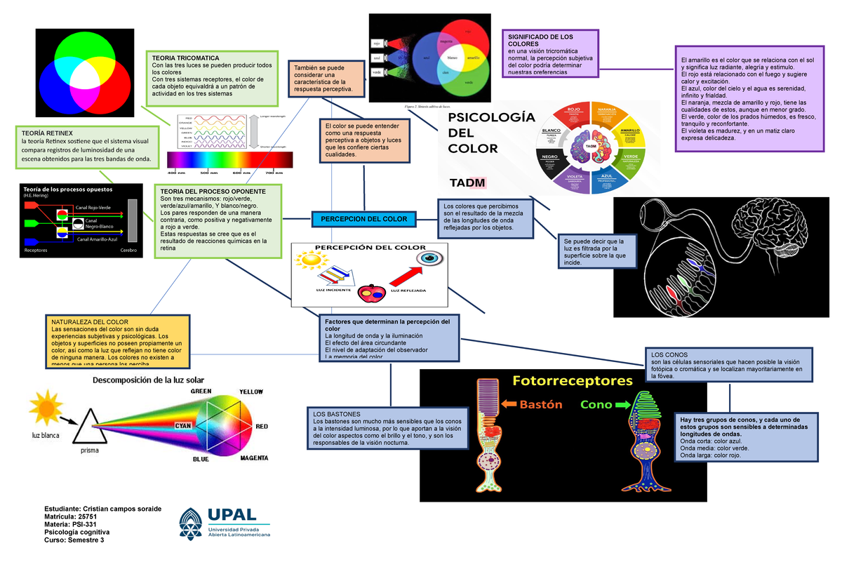 PER- Delcolor-25751 - clases de psicología cognitiva tercer semestre ...