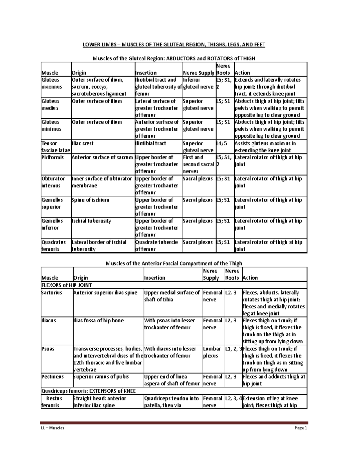 Lower Limbs - Muscles - Developmental Biology - Studocu