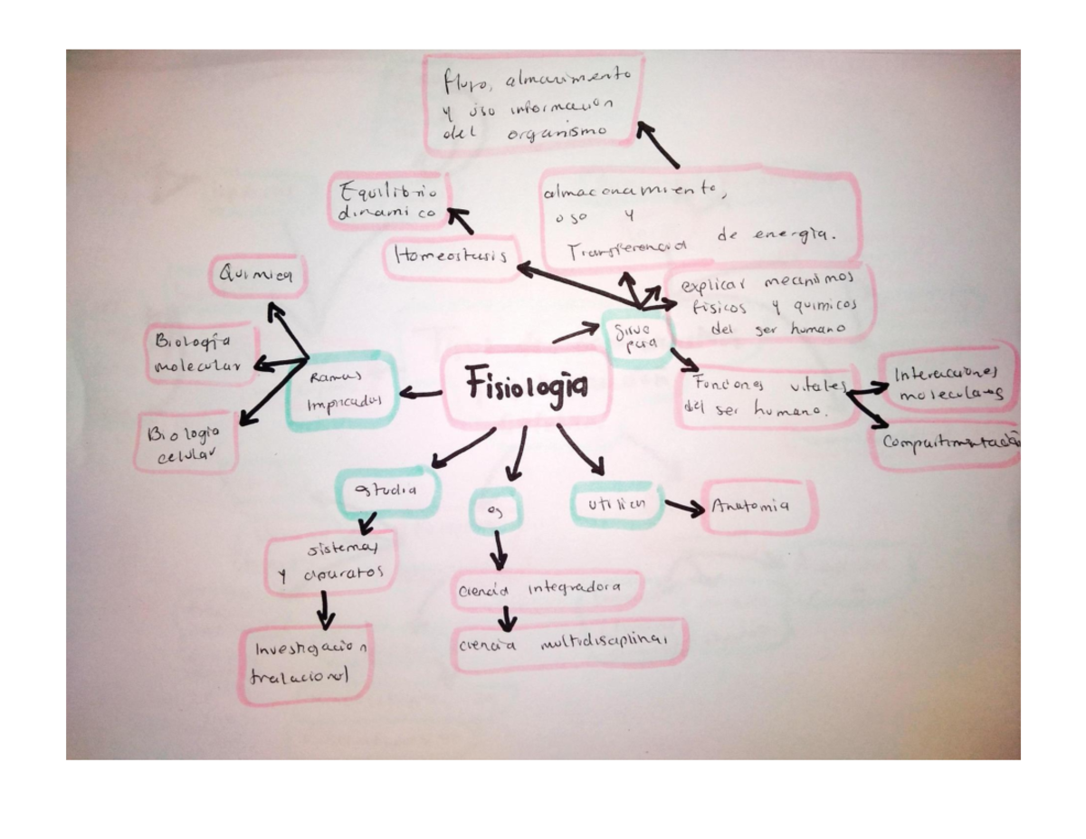 mapas fisiologia - Fisiologia - UJAT - Studocu