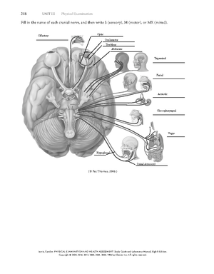 Bio 151 activity 5 - dccc - ANATOMY 001 - Studocu