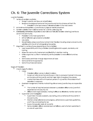 Chapter 1 History of The Juvenile Justice System CJ 317 - Ch. 1 ...