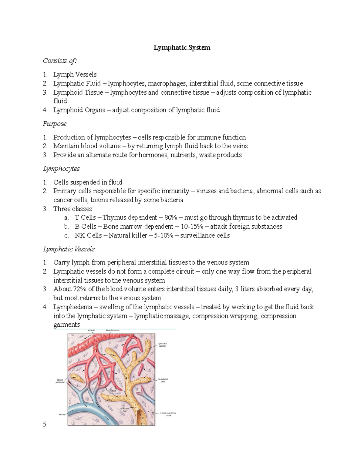 19 - Lymphatic System - Lymphatic System Consists of: Lymph Vessels ...