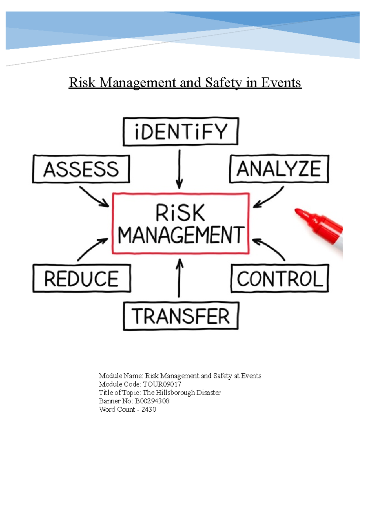 The Hillsborough Disaster - Risk - Module Name: Risk Management and ...